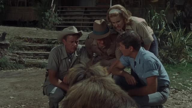 Watch Daktari S02:E13 - Clarence the Killer - Free TV Shows | Tubi