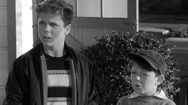 Watch Leave It to Beaver - Free TV Series | Tubi