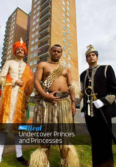 Watch Undercover Princes and Princesses - Free TV Series | Tubi