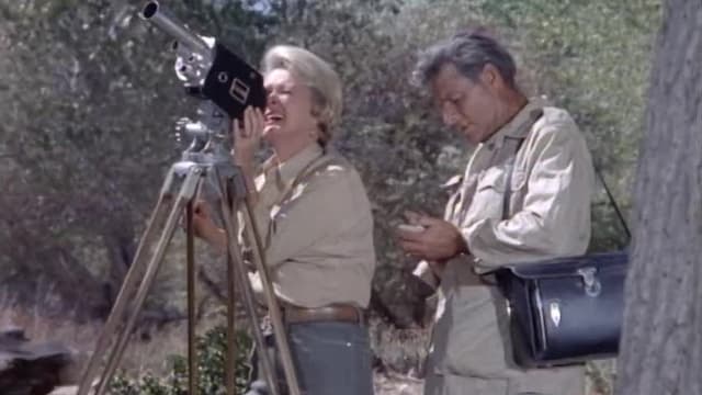 Watch Daktari S04:E01 - A Family for Jenny - Free TV Shows | Tubi