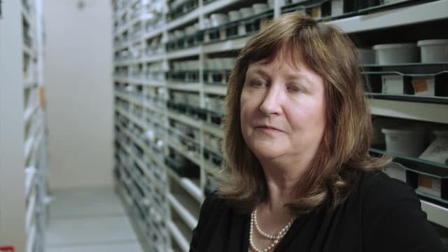 Watch Forensics : The Science of Crime - Free TV Shows | Tubi