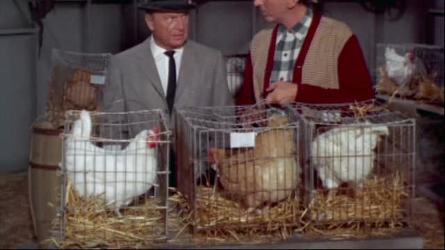 Watch Green Acres S02:E09 - The Hooterville Image Free TV | Tubi