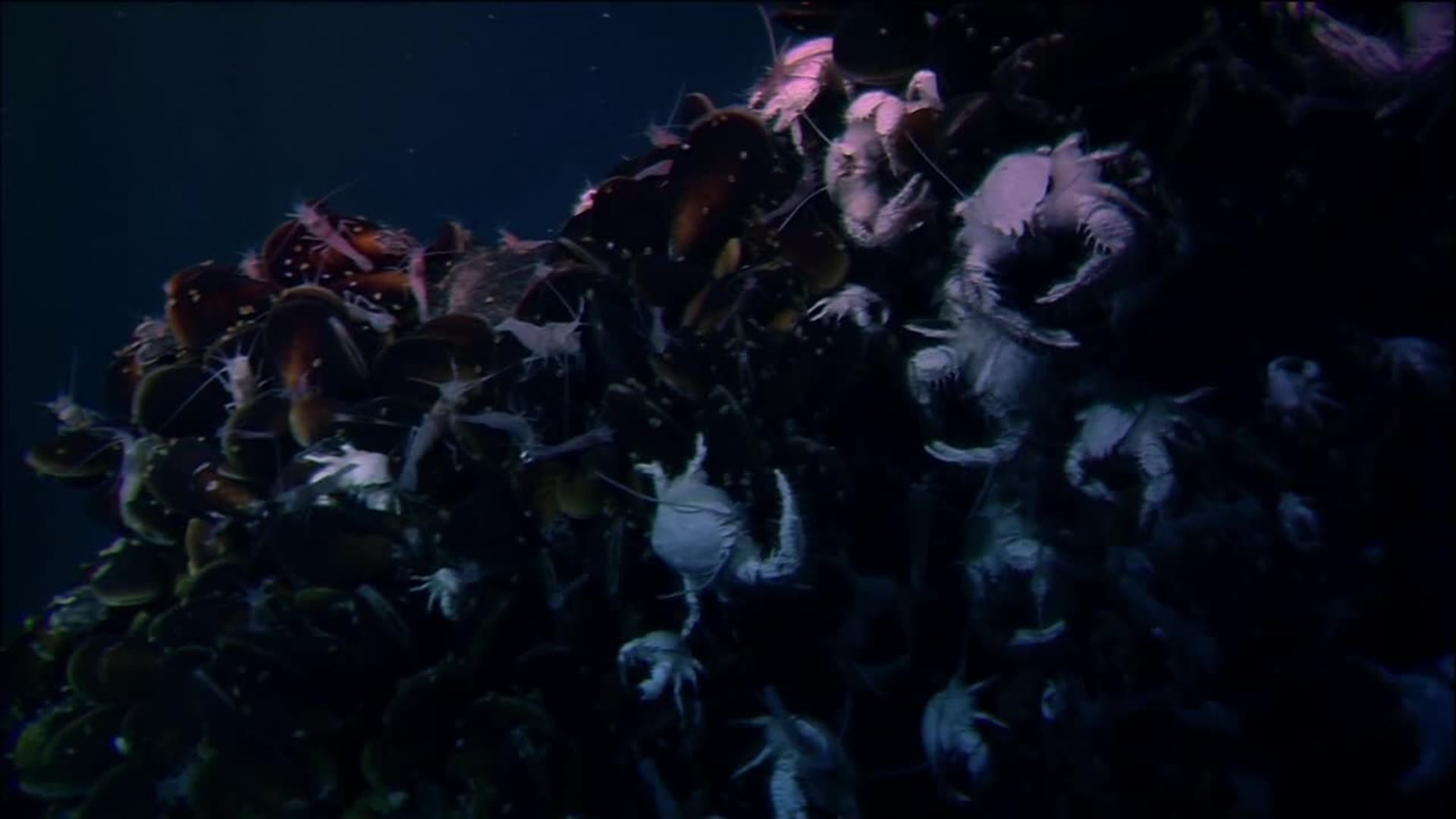 Watch Volcano Odyssey (2012) - Free Movies | Tubi