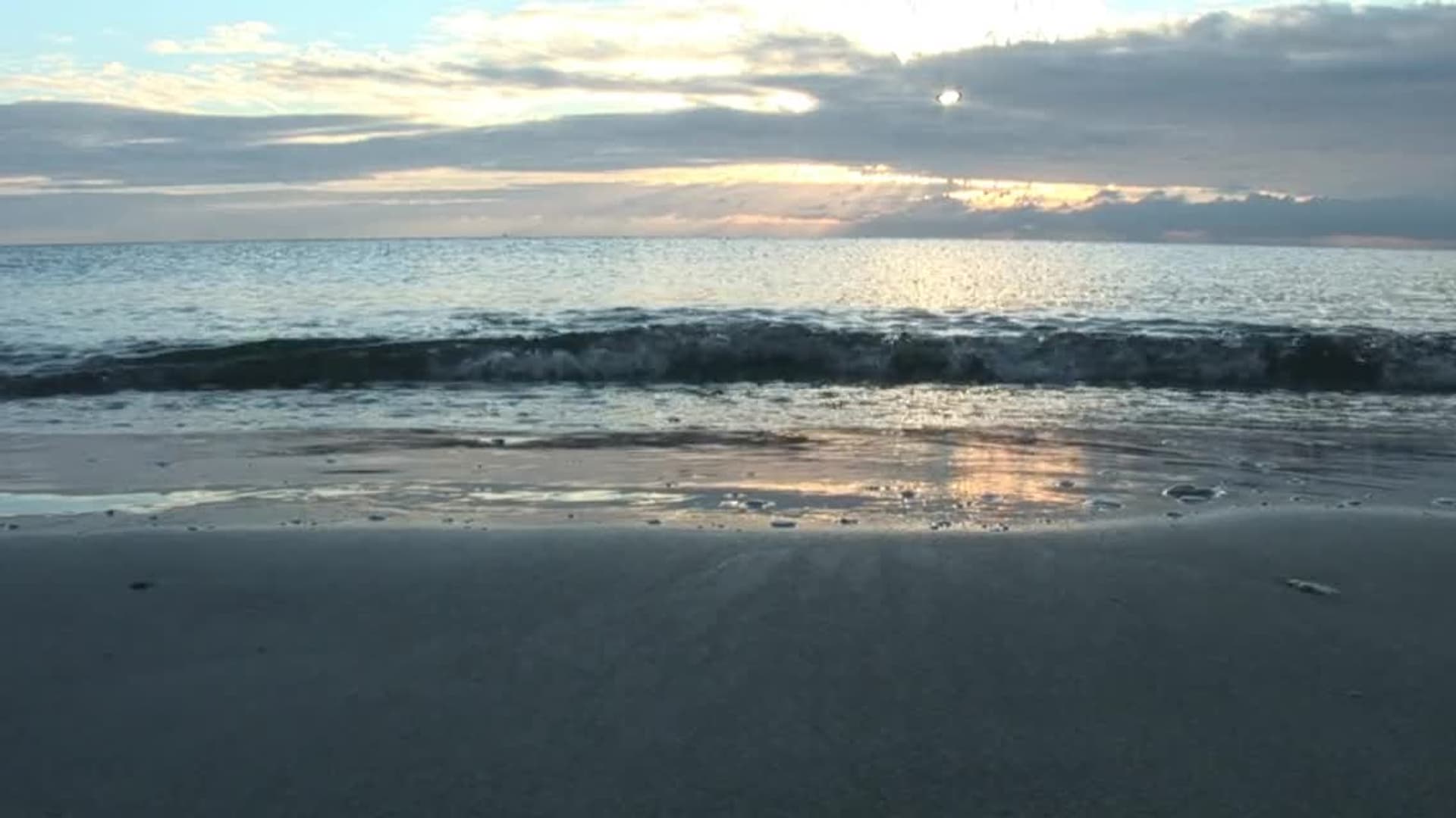 Watch The Ocean: Relax and Be Free (2010) - Free Movies | Tubi