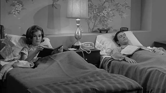 Watch The Dick Van Dyke Show S02:E27 - Racy Tracy Rattigan Free TV | Tubi