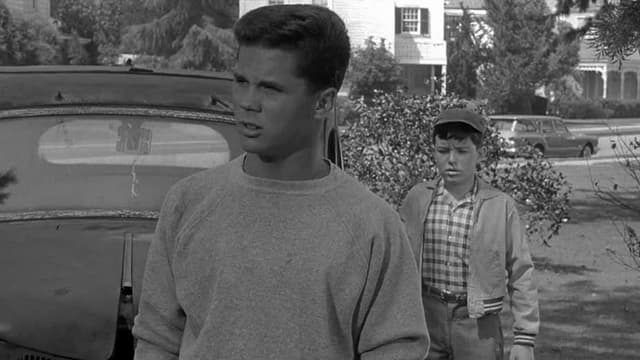 Watch Leave It to Beaver S05:E21 - Beaver's Fear Free TV | Tubi