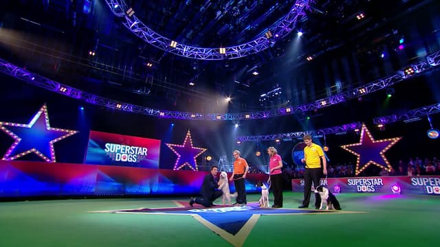 Watch Superstar Dogs S01:E02 - Episode 2 Free TV | Tubi