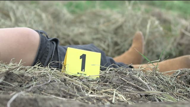 Watch Crime Scene Solvers S06:E06 - Shot at Point-Bl - Free TV Shows | Tubi