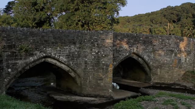 Watch The Mind of a Chef Season 2 - Free TV Shows | Tubi