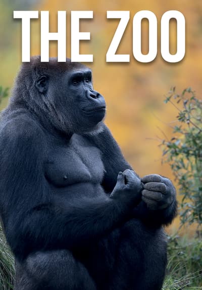 Watch The Zoo - Free TV Series | Tubi