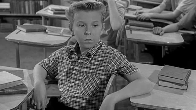 Watch Leave It to Beaver S05:E13 - Beaver's First Date Free TV | Tubi