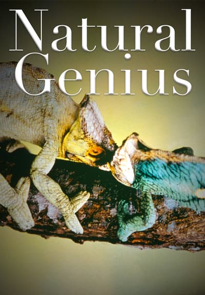 Watch Natural Genius S01:E06 - Stilts, Soles, Wheels and Win Free TV | Tubi