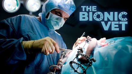 Watch The Bionic Vet - Free TV Shows | Tubi