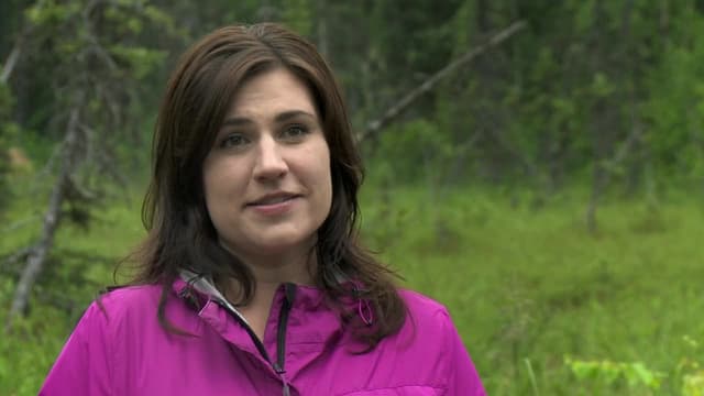 Watch Buying Alaska S02:E18 - Dangerous Trails - Free TV Shows | Tubi