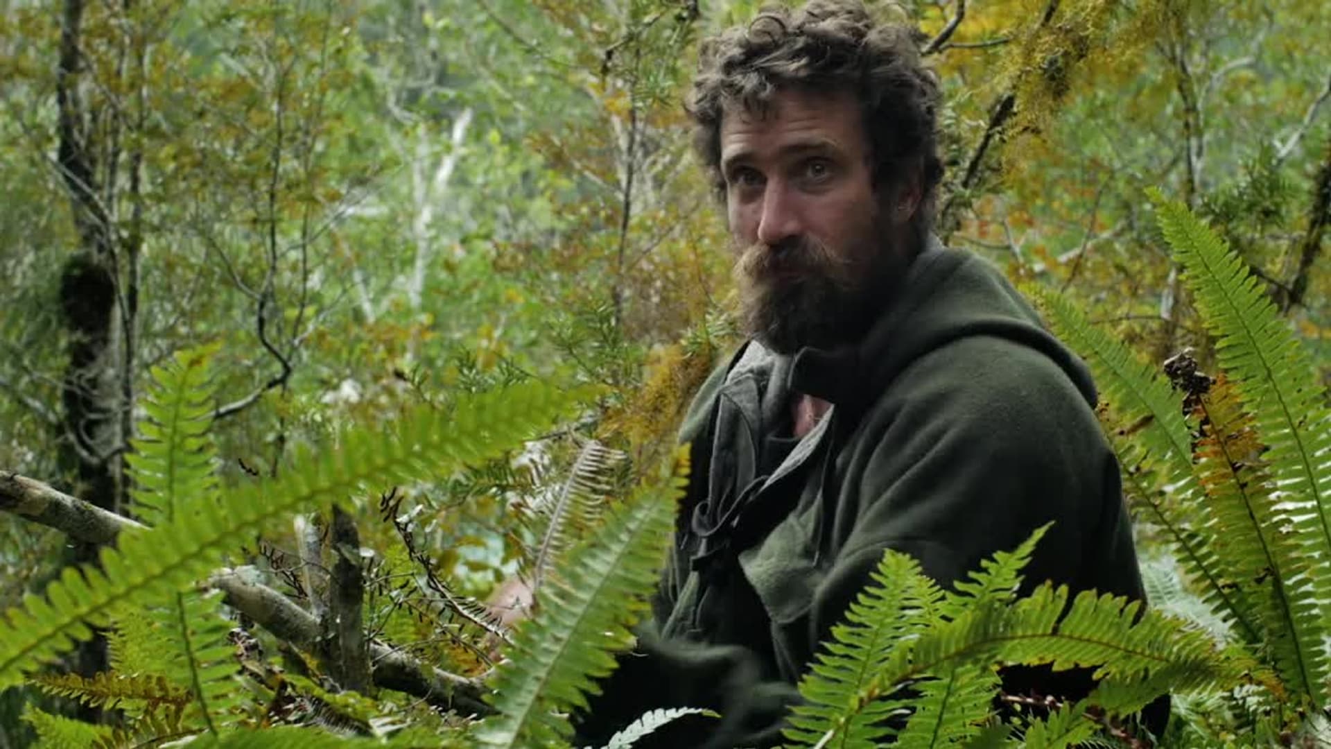 Watch Meat Trailer (2017) - Free Movies | Tubi