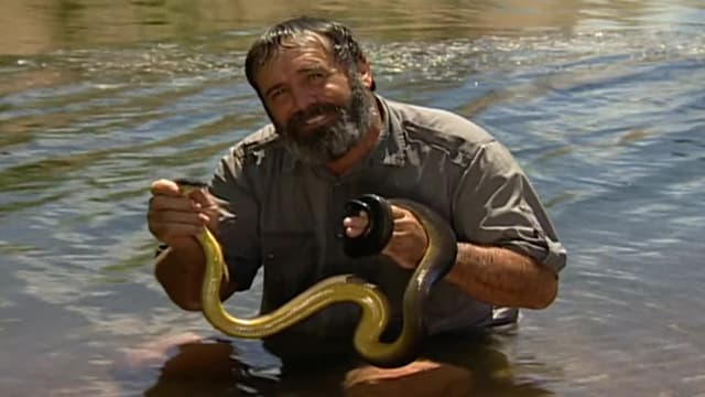 Watch Killer Instinct with Rob Bredl - Free TV Shows | Tubi