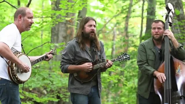 Watch DittyTV's Concert Series S01:E10 - Samantha Fish Free TV | Tubi