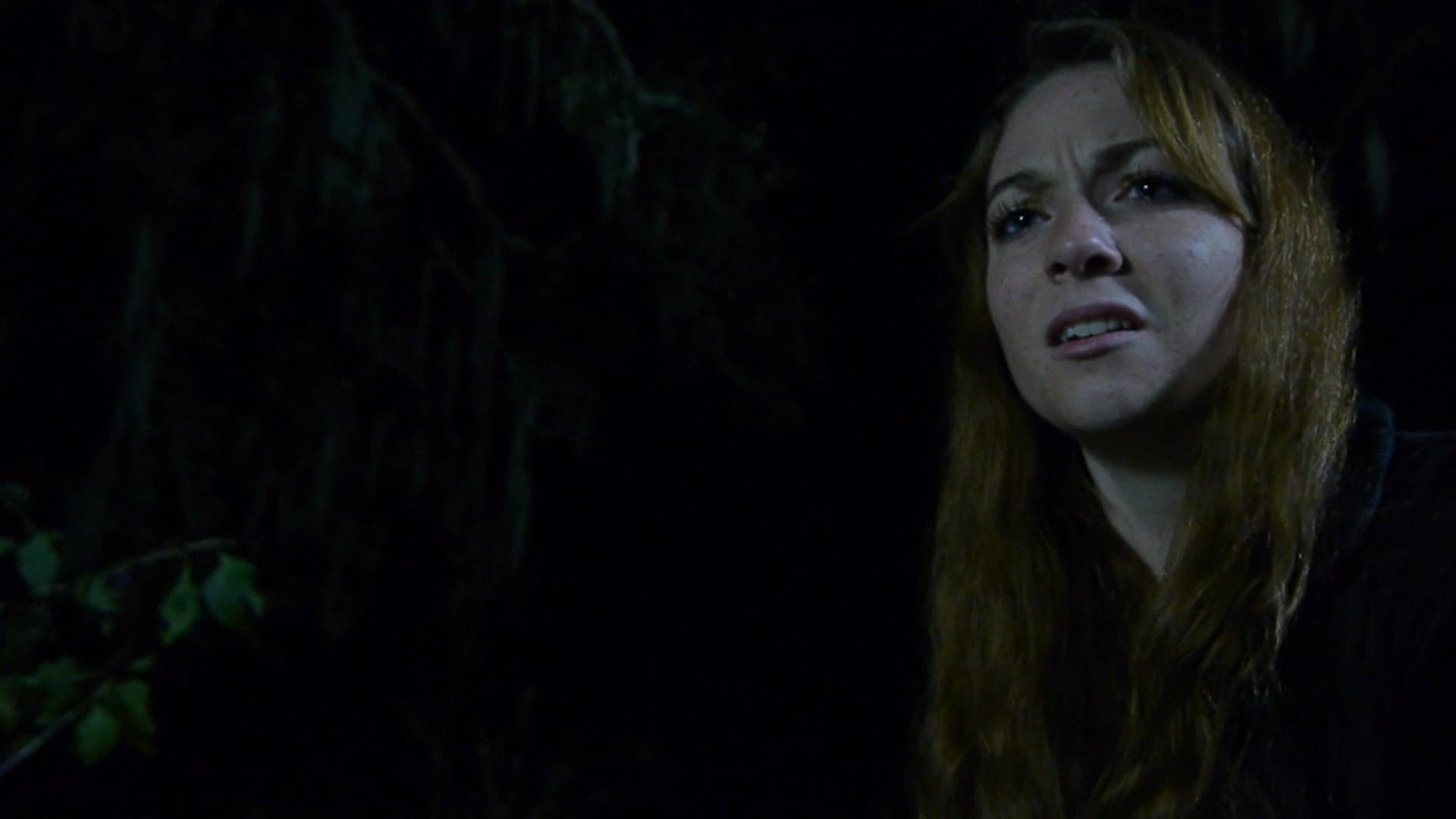 Watch The Poltergeist of Borley Forest (2014) - Free Movies | Tubi