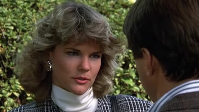 Watch Spenser: For Hire Season 2 - Free TV Shows | Tubi