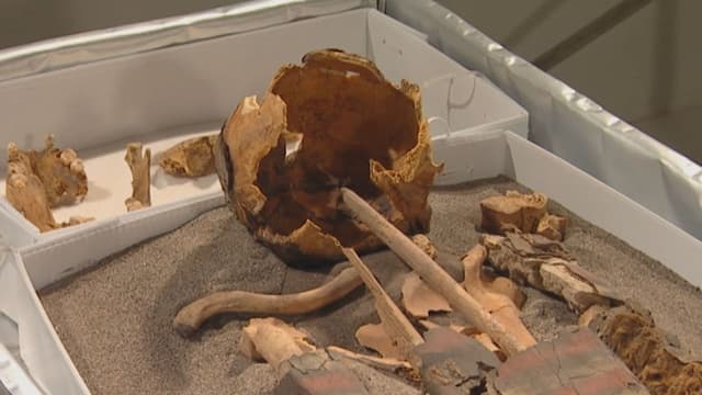 Watch Tales of the Living Dead S01:E08 - Headless Wa - Free TV Shows | Tubi