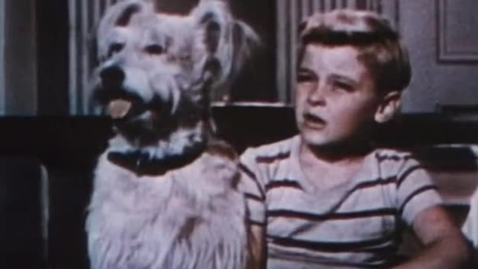 Watch Who Killed "Doc" Robbin? (1948) - Free Movies | Tubi