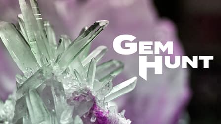 Watch Gem Hunt - Free TV Shows | Tubi