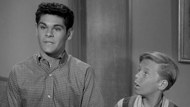 Watch Leave It to Beaver S06:E04 - The Late Edition Free TV | Tubi