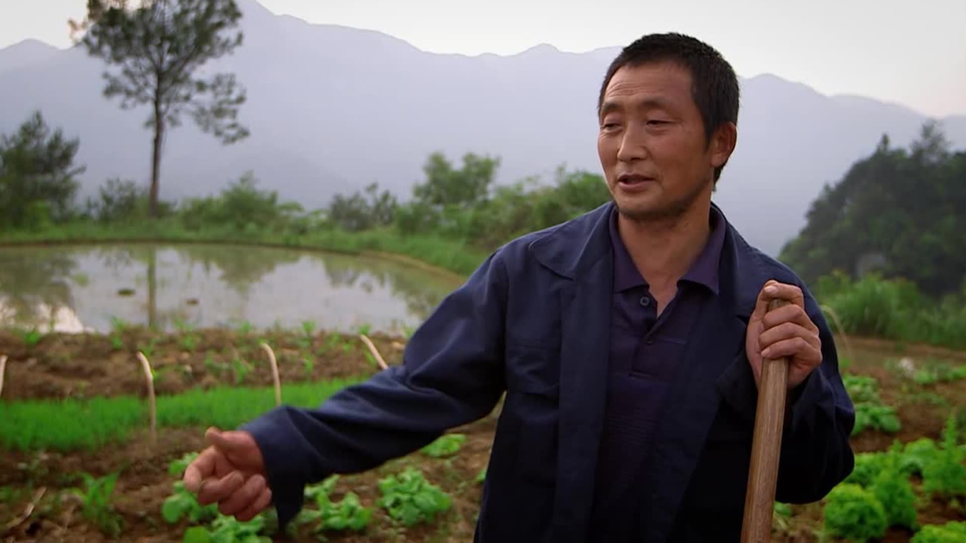 Watch Hunan: The Other World of Avatar (2018) - Free Movies | Tubi