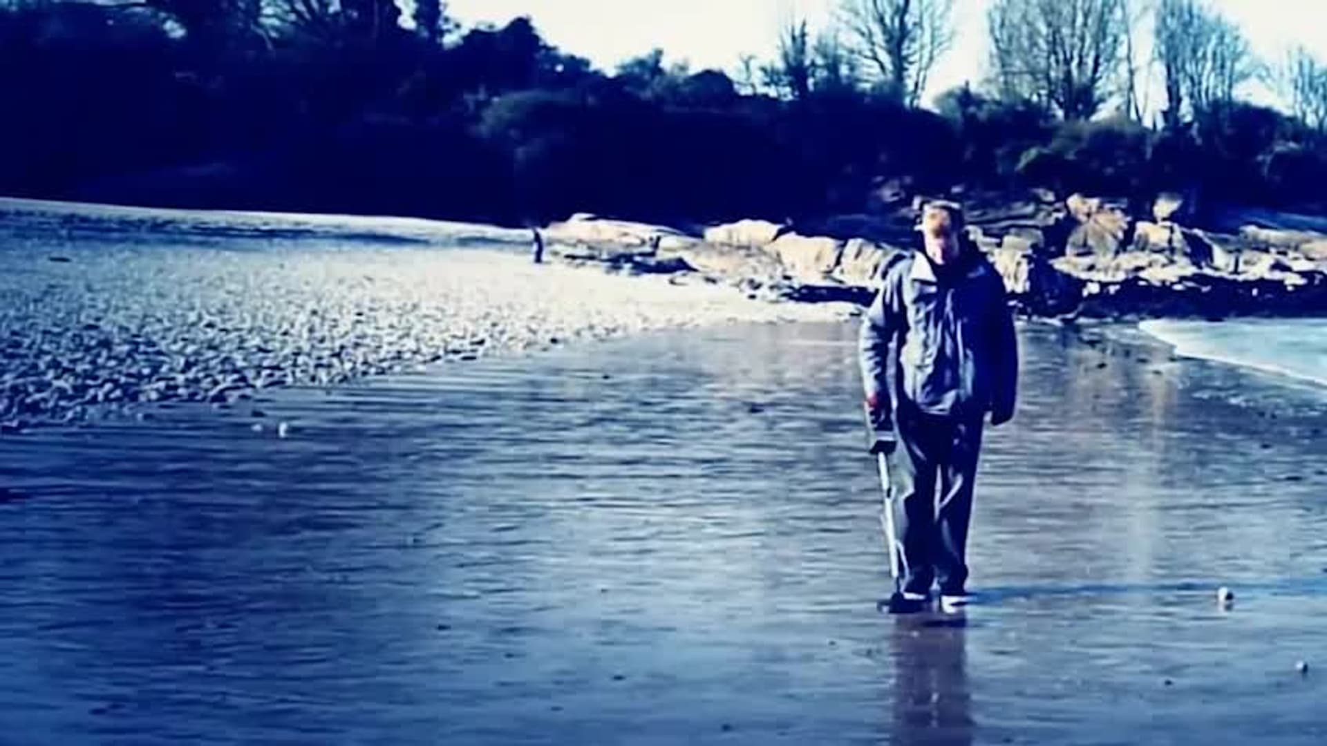 Watch Terror Telly (2012) - Free Movies | Tubi