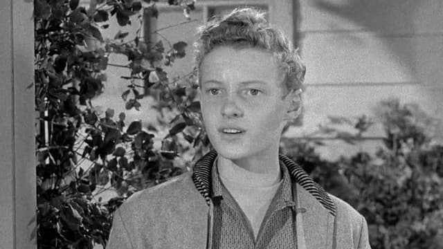 Watch Leave It to Beaver - Free TV Series | Tubi