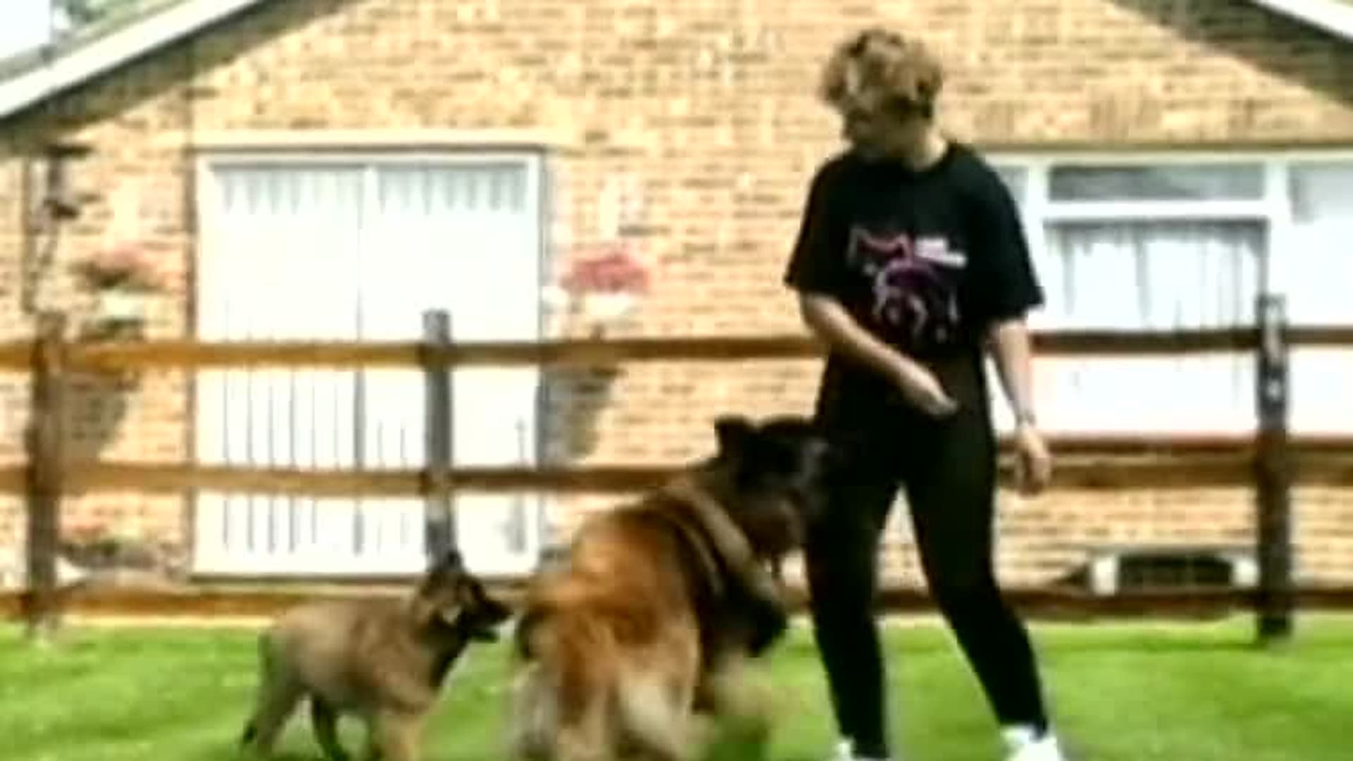 Watch Dog Training: The John Fisher Way (2009) - Free Movies | Tubi