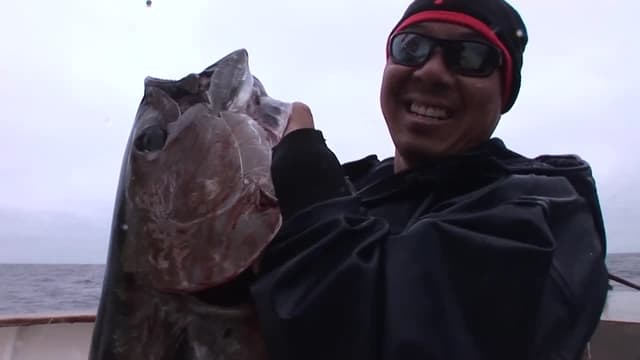 Watch Inside Sportfishing S03:E08 - Calico Craze at - Free TV Shows | Tubi