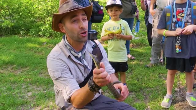 Watch Brave Wilderness S05:E07 - Saving Baby Turtles - Free TV Shows | Tubi