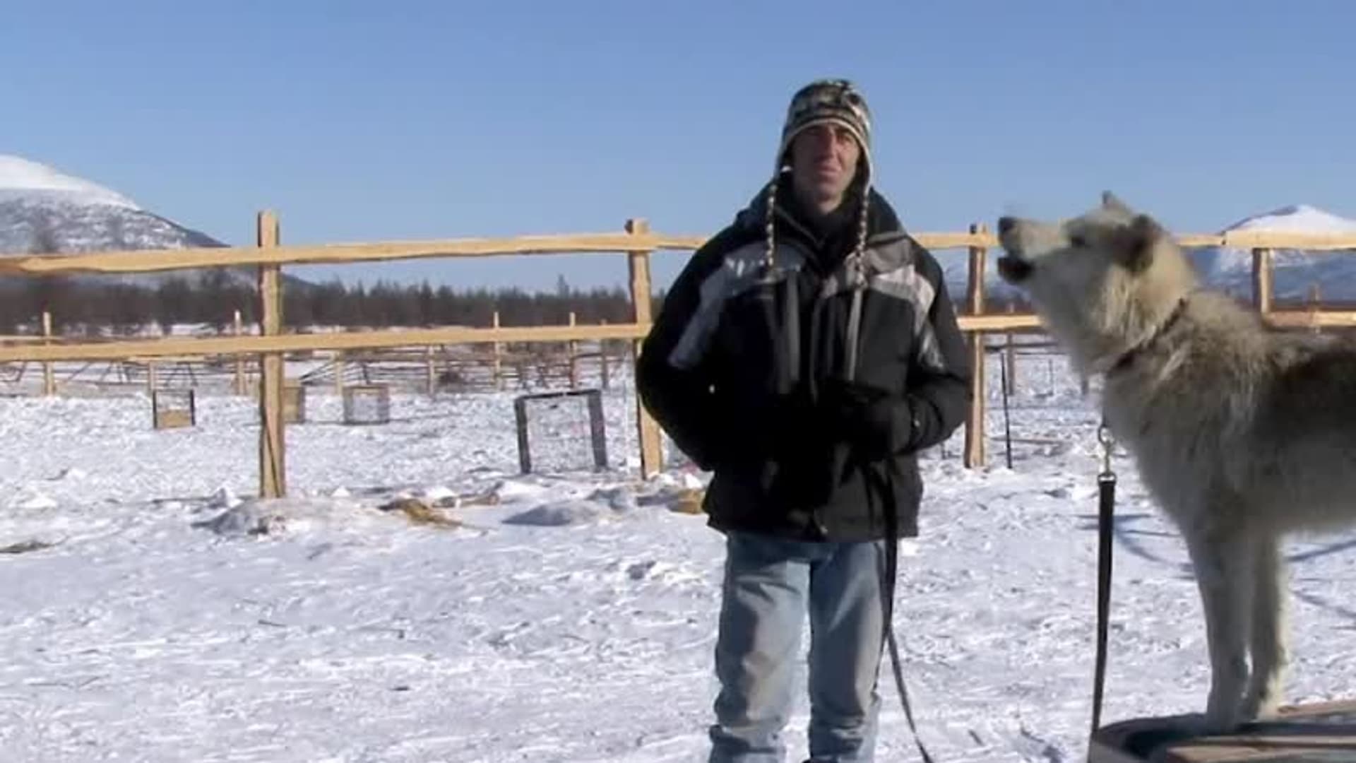 Watch Wolves Unleashed (2011) - Free Movies | Tubi