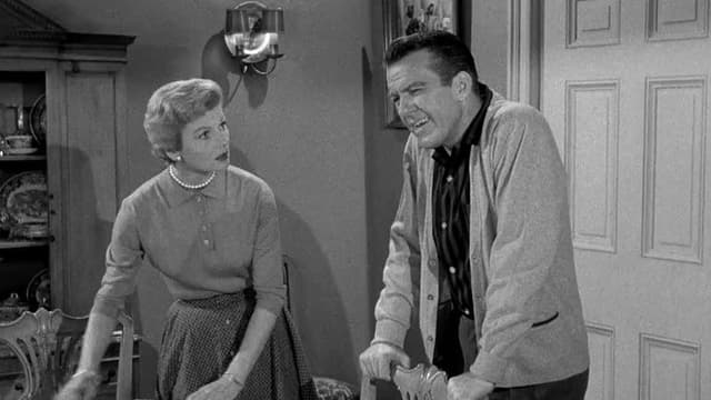 Watch Leave It to Beaver - Free TV Series | Tubi