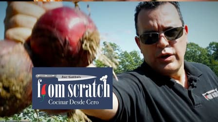 Watch From Scratch (Español) - Free TV Shows | Tubi