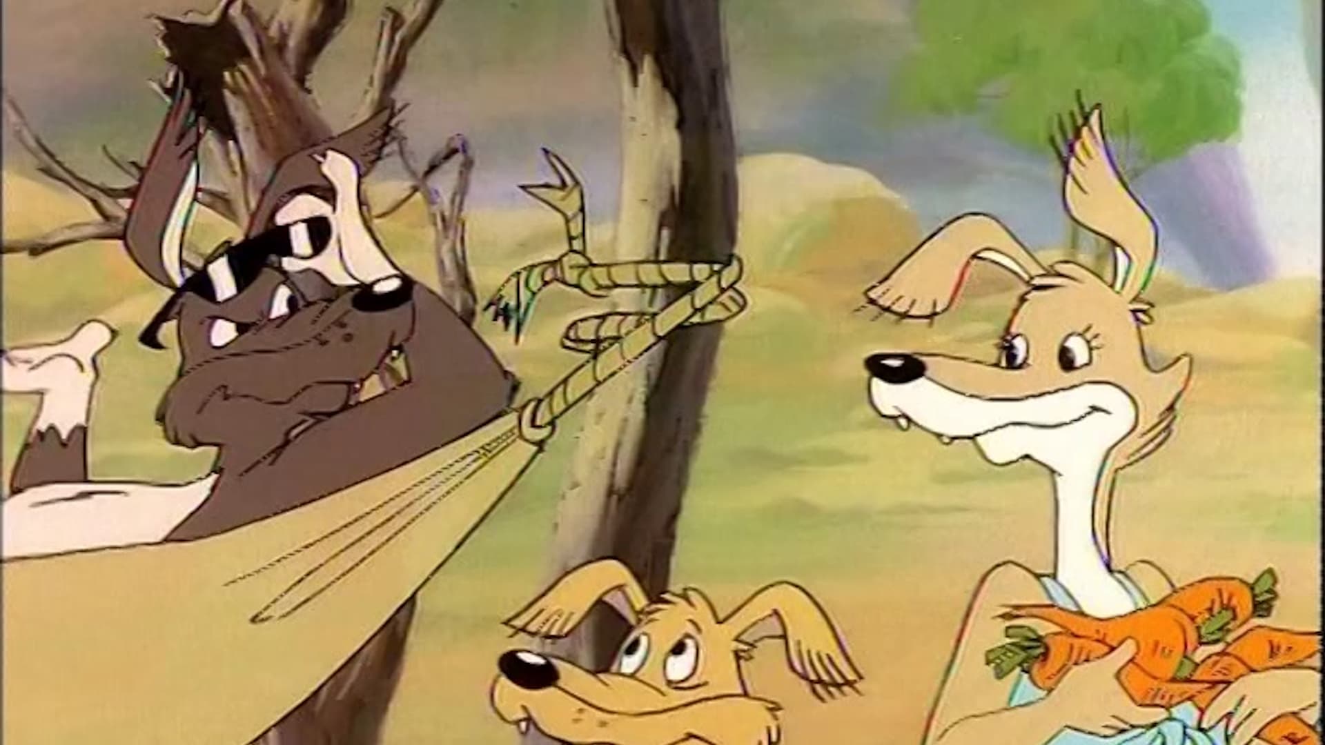 Are Carrots Good For A Dingo