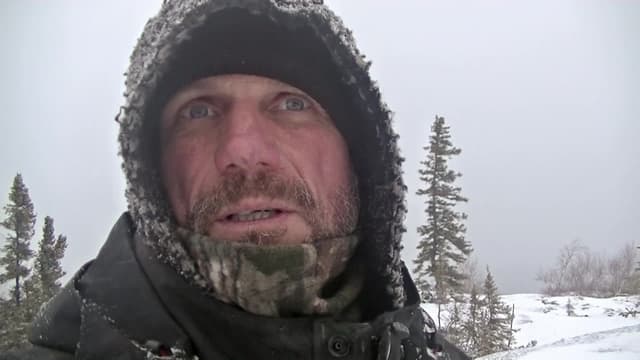 Watch Alone S07:E06 - The Musk Ox - Free TV Shows | Tubi