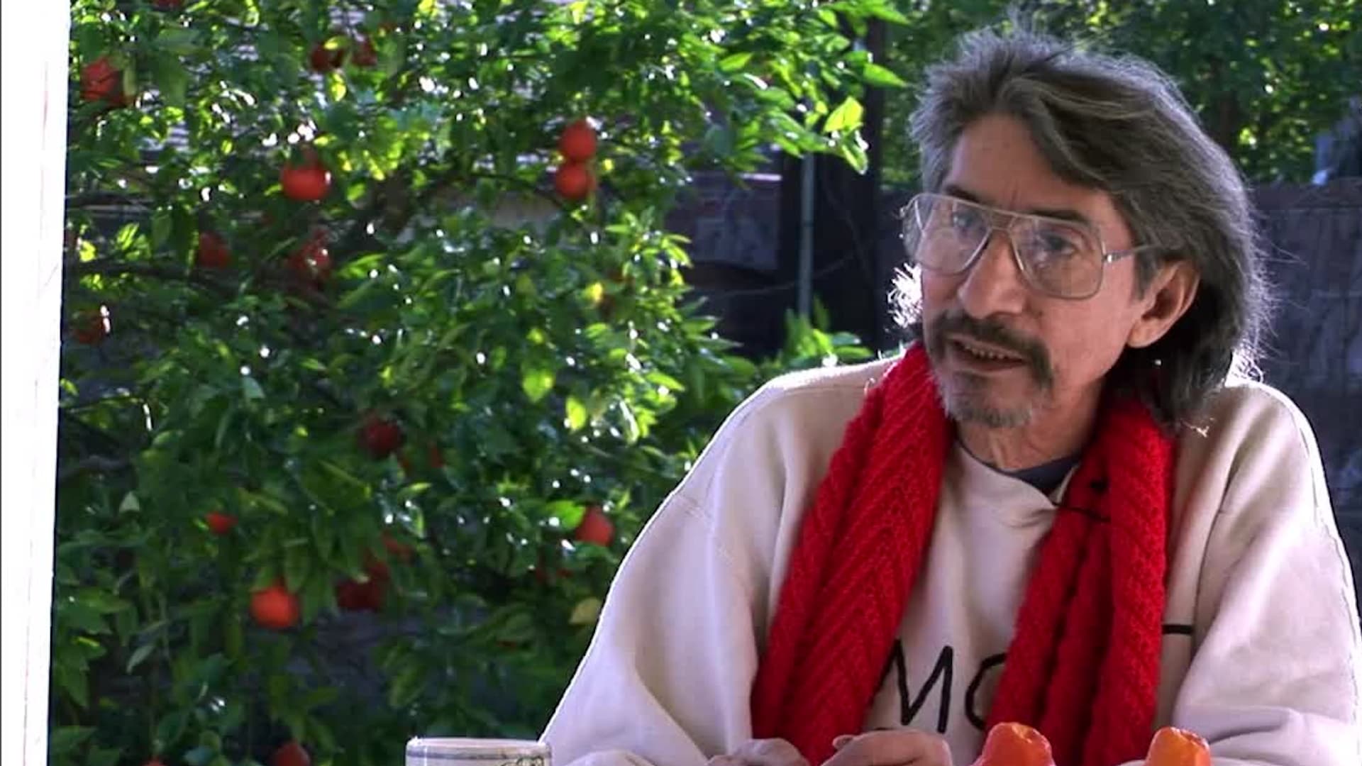 Watch Pablo (2012) - Free Movies | Tubi