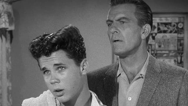 Watch Leave It to Beaver S02:E21 - The Tooth Free TV | Tubi
