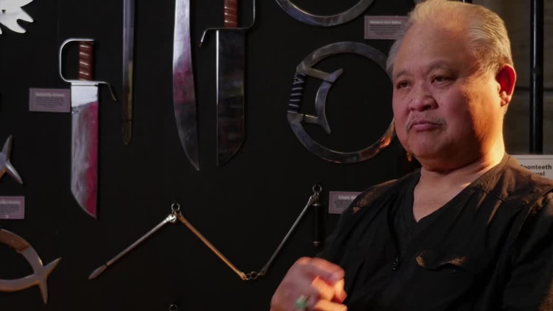 Watch Martial Arts History Museum Biography: Douglas W - Free Movies | Tubi