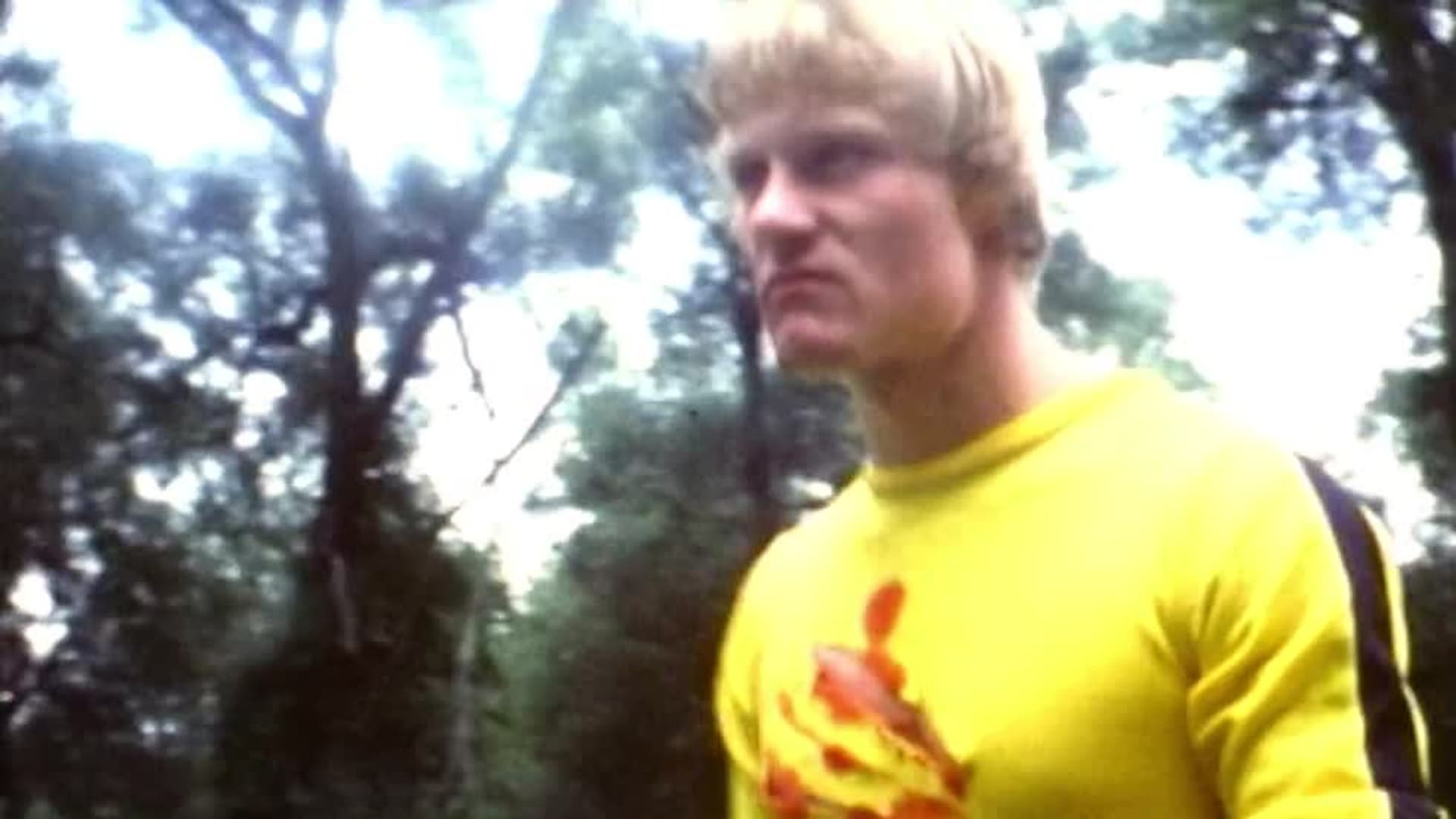 Watch Blood and Steel (1990) - Free Movies | Tubi