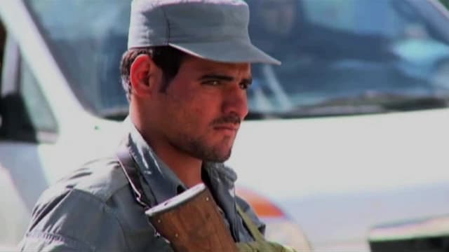 Watch The Fighting Season - Free TV Shows | Tubi