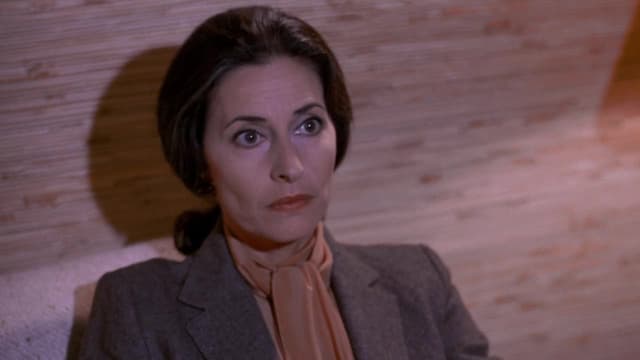 Watch Hart to Hart S01:E01 - Pilot (Pt. 1) - Free TV Shows | Tubi