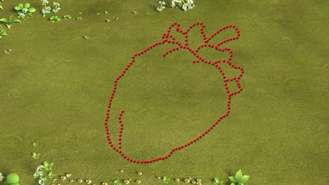 Watch Boom and Reds S01:E07 - Searching for Strawberries Free TV | Tubi