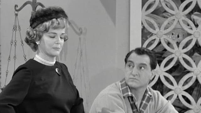 Watch The Danny Thomas Show S09:E18 - Charley Does It Himsel Free TV | Tubi