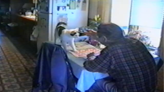 Watch Life's Funniest Moments S01:E06 - Oreo Eating Contest Free TV | Tubi