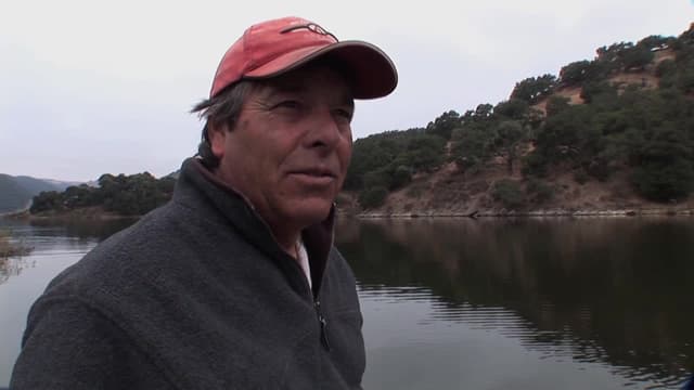 Watch Inside Sportfishing S03:E08 - Calico Craze at - Free TV Shows | Tubi