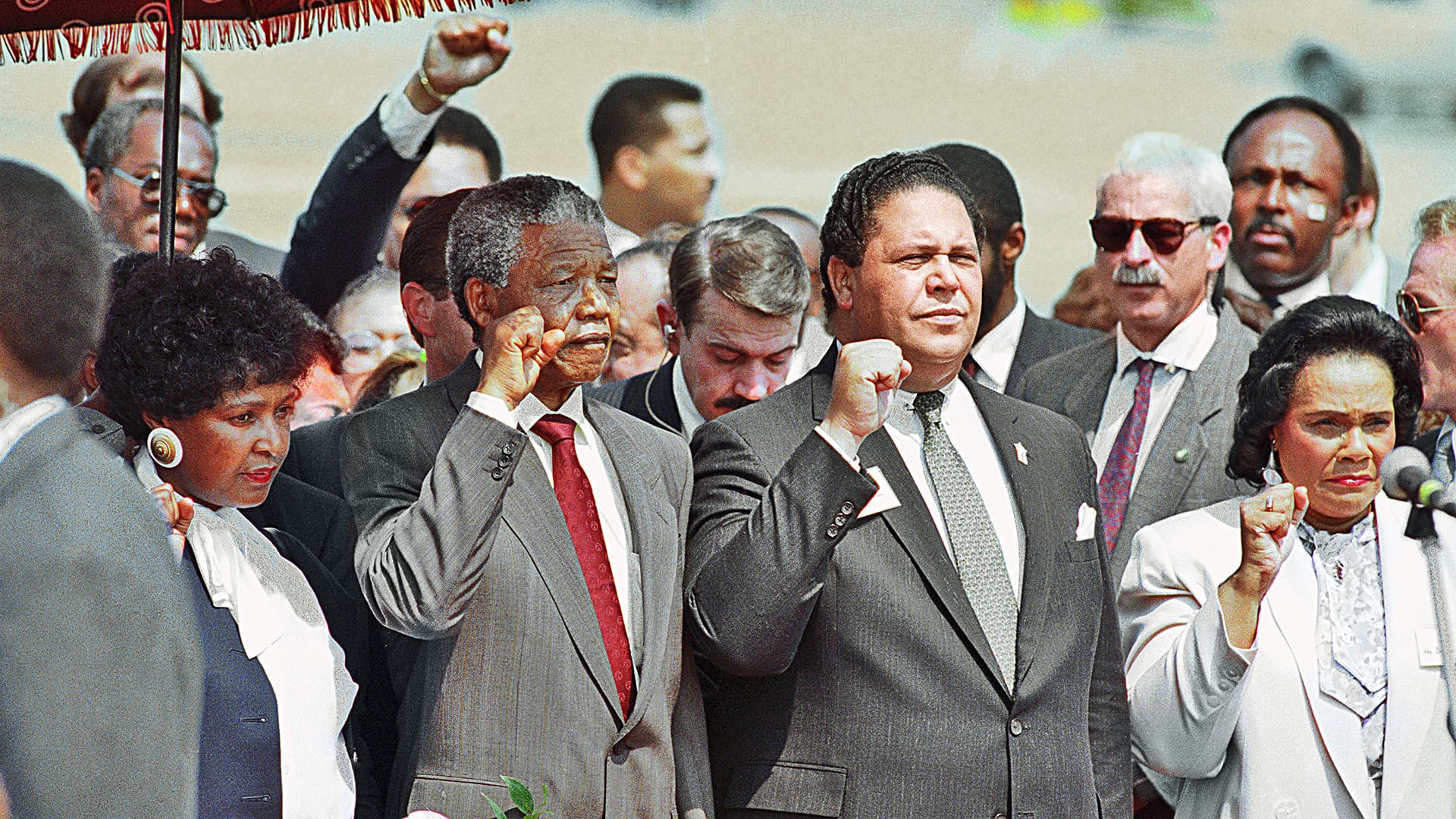 Watch Maynard (2018) - Free Movies | Tubi