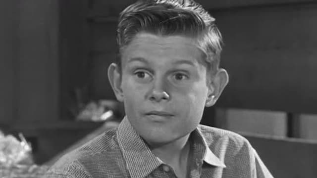 Watch The Real McCoys S04:E22 - Baseball vs. Love - Free TV Shows | Tubi